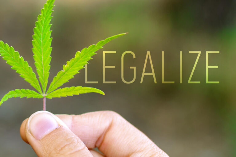 Germany Cannabis Legalization 2024–2025 – Social Clubs & Use Regulations