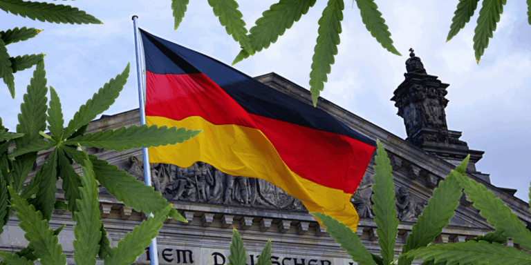 Germany Cannabis Legalization 2024–2025 – Social Clubs & Use Regulations